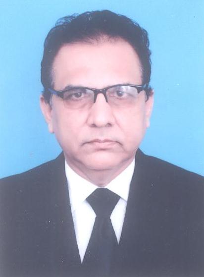 جناب جسٹس سید حسن اظہر رضوی